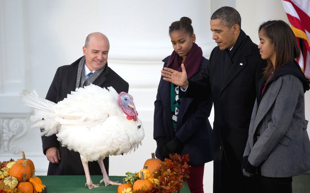 Pavo “Popcorn” ganó el perdón presidencial de Obama (video) - El Diario NY
