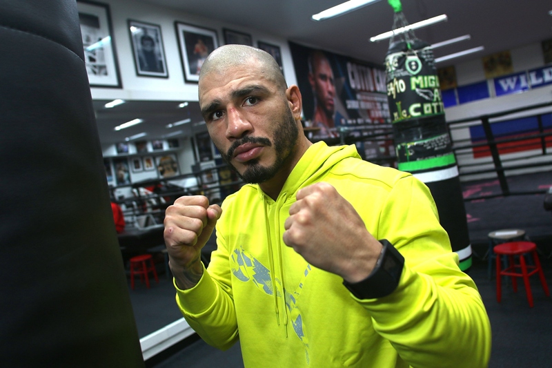 Cotto le apuesta a su experiencia - El Diario NY