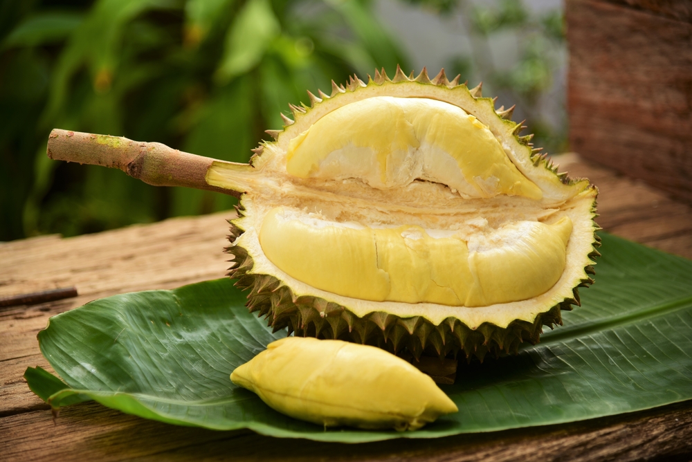 Esta es la fruta más apestosa del mundo | El Diario NY