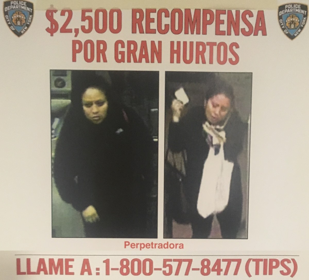 La ladrona “más buscada” de la Línea 7 en Queens - El Diario NY