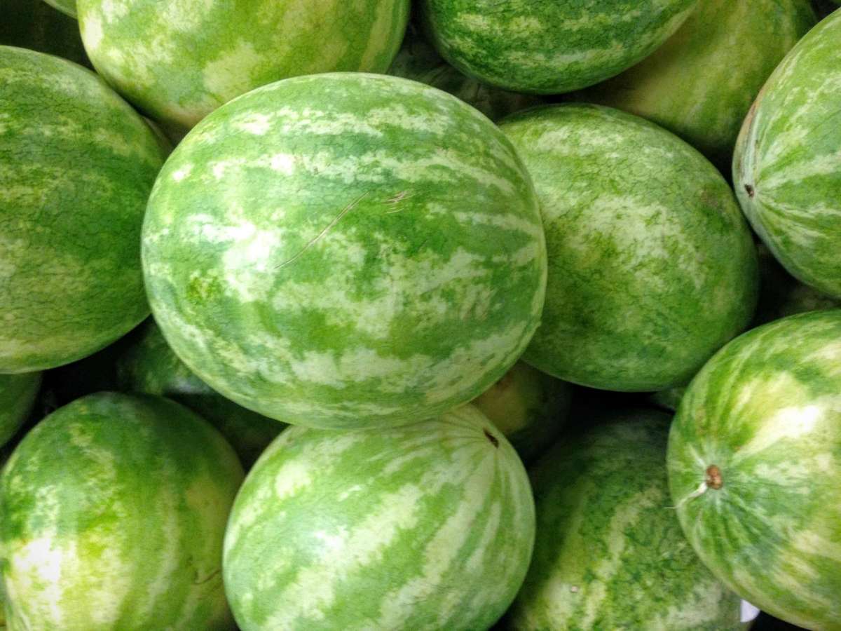 CDC advierte: Salmonella en melones cortados enferma a 60 personas - El ...