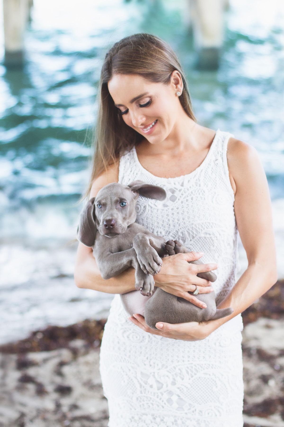 Consejos para criar a un cachorro - El Diario NY