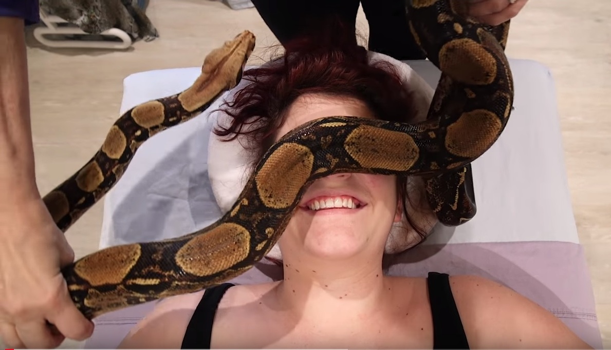 Sólo para muy valientes: masajes con serpientes en Nueva York - El ...