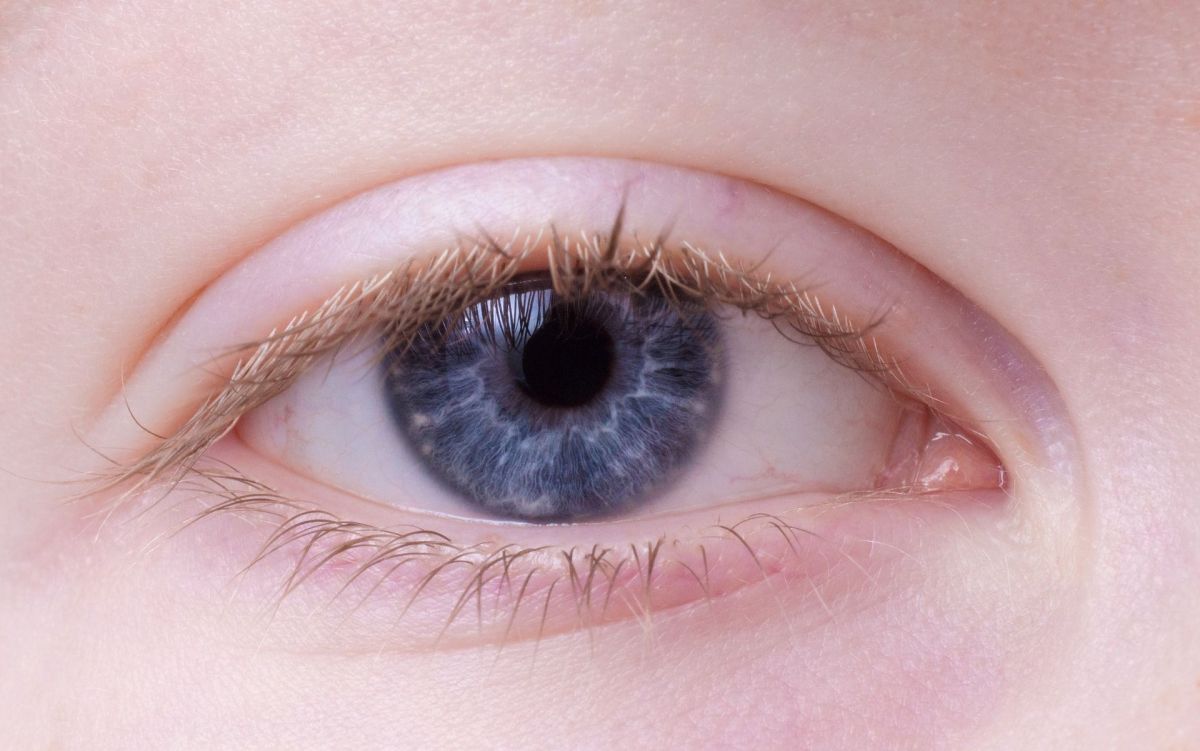 ¿Por qué a veces aparece un temblor en los ojos? Y ¿Cómo se puede ...