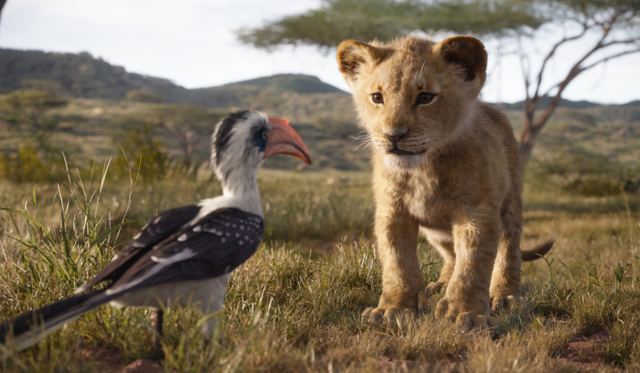 The Lion King: 10 cosas que aprendimos tras ver El Rey León 2019 - El ...