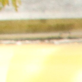 Nuevo look de Carlos Alcaraz en el US Open hace estallar los memes en ...