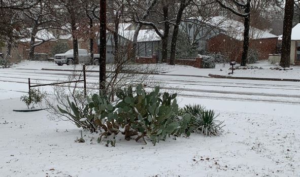 La nieve llegó al Norte de Texas después de las tormentas - El Diario NY