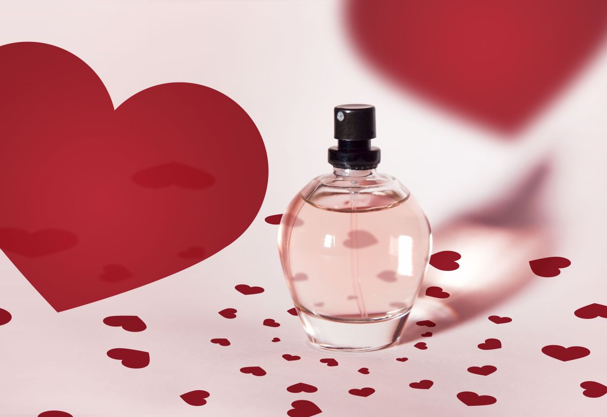 Perfumes de mujer: Los mejores para regalar en San Valentín - El Diario NY Perfumes de mujer: Los mejores para regalar en San Valentín - El Diario NY