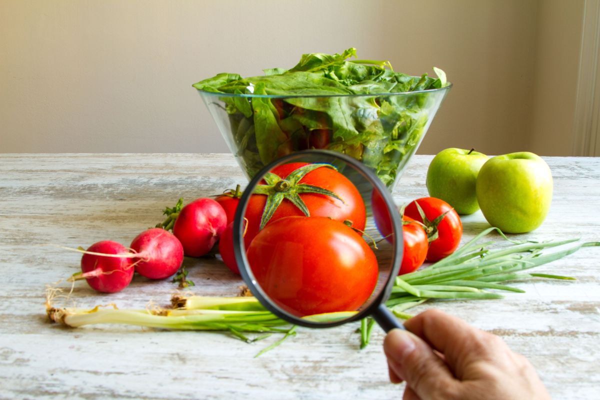 ¿Cuáles son los contaminantes químicos que afectan los alimentos? - El ...