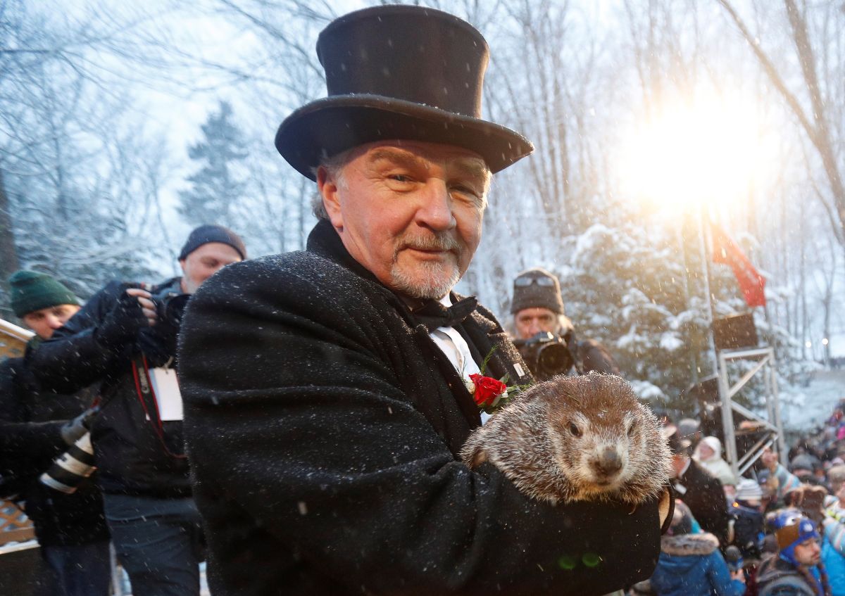 Marmota Phil predice que la primavera llegará pronto en 2020 - El Diario NY