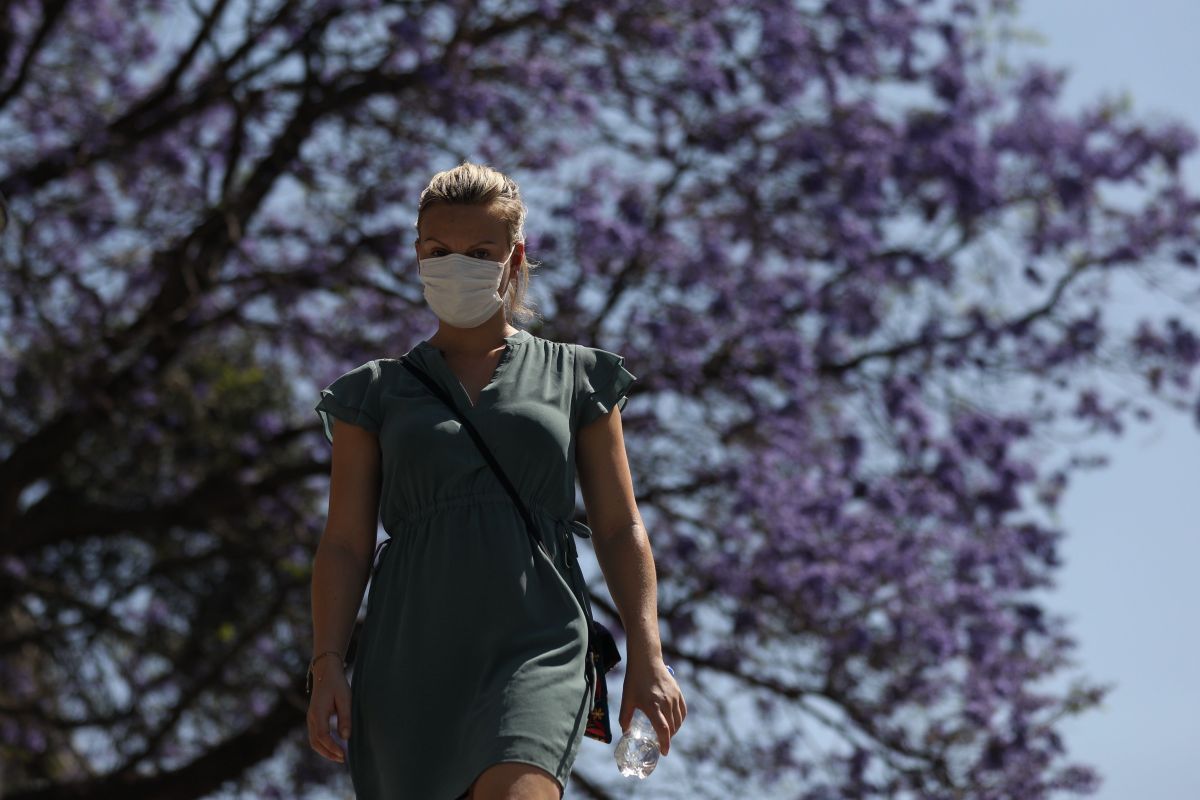 Así puedes hacer una mascarilla con un calzón - El Diario NY