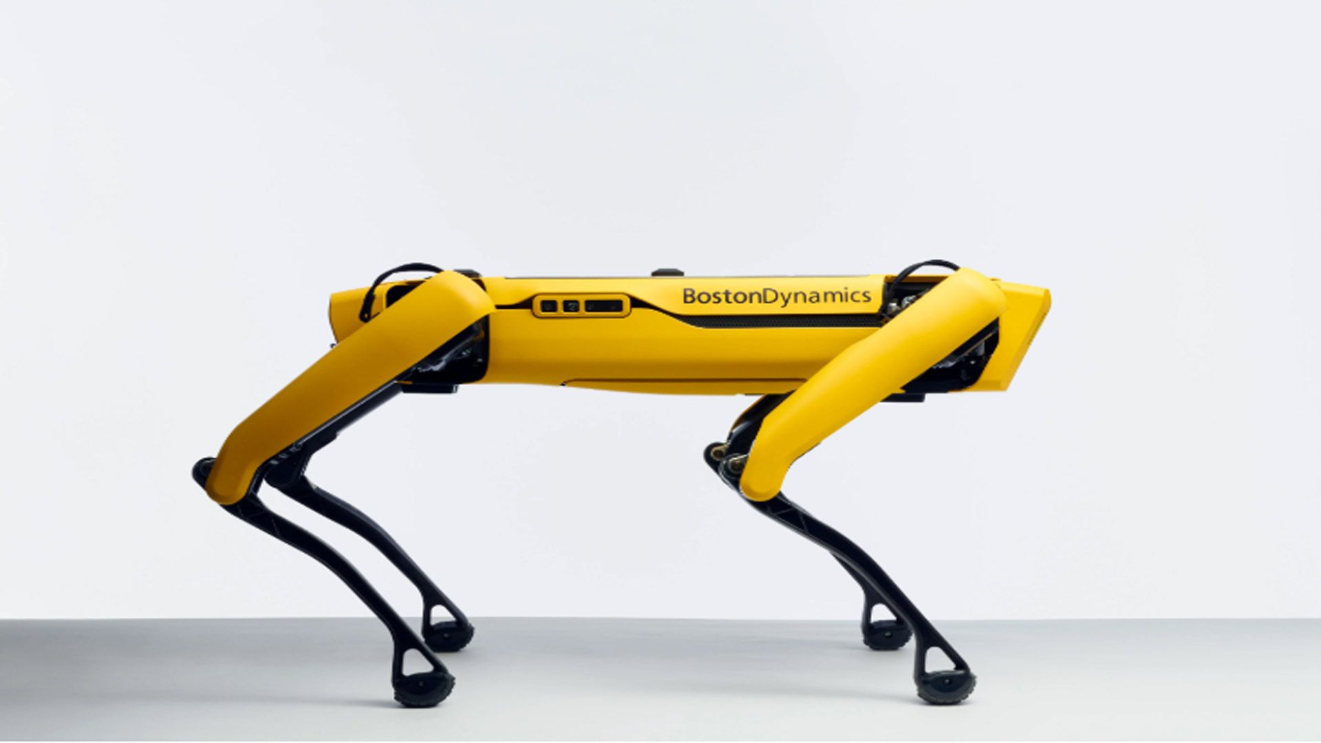 Ya puedes comprar a Spot, el asombroso perro robot de Boston Dynamics ...