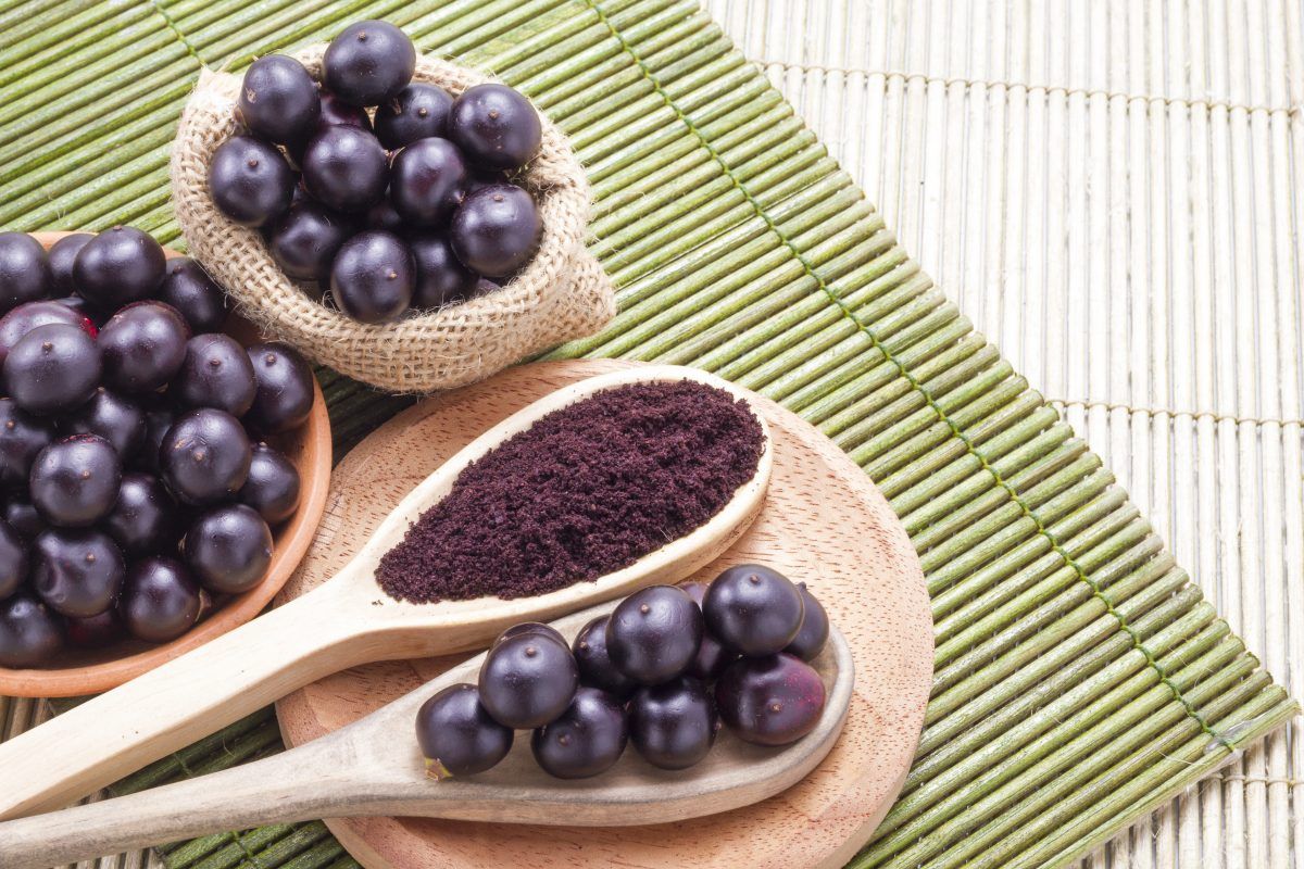 Acai berry: la fruta del Amazonas ideal para incluir en tu dieta | El ...