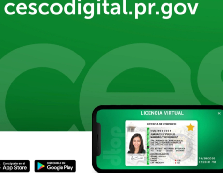Licencias de conducir virtuales están a la vuelta de la esquina en ...