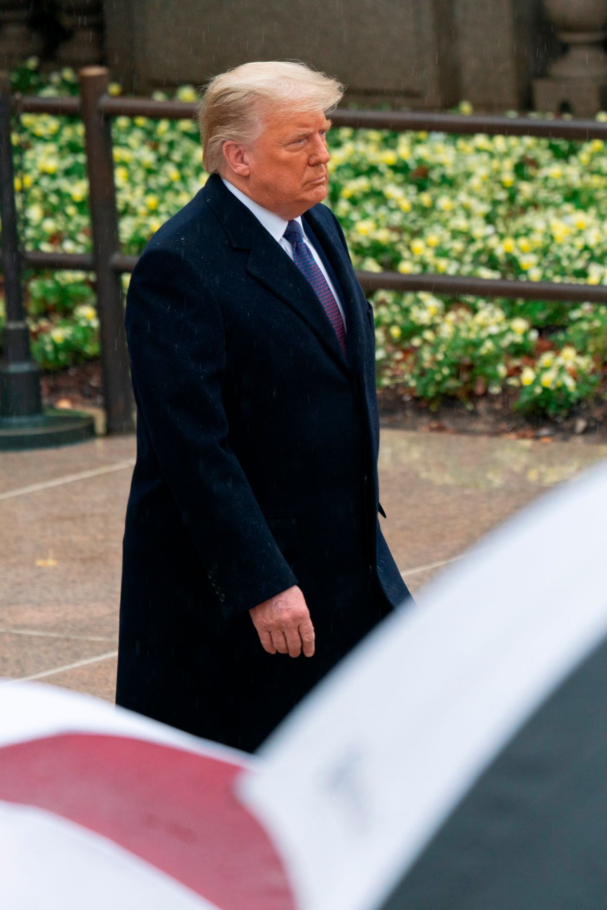 Amargura en el adiós - El Diario NY