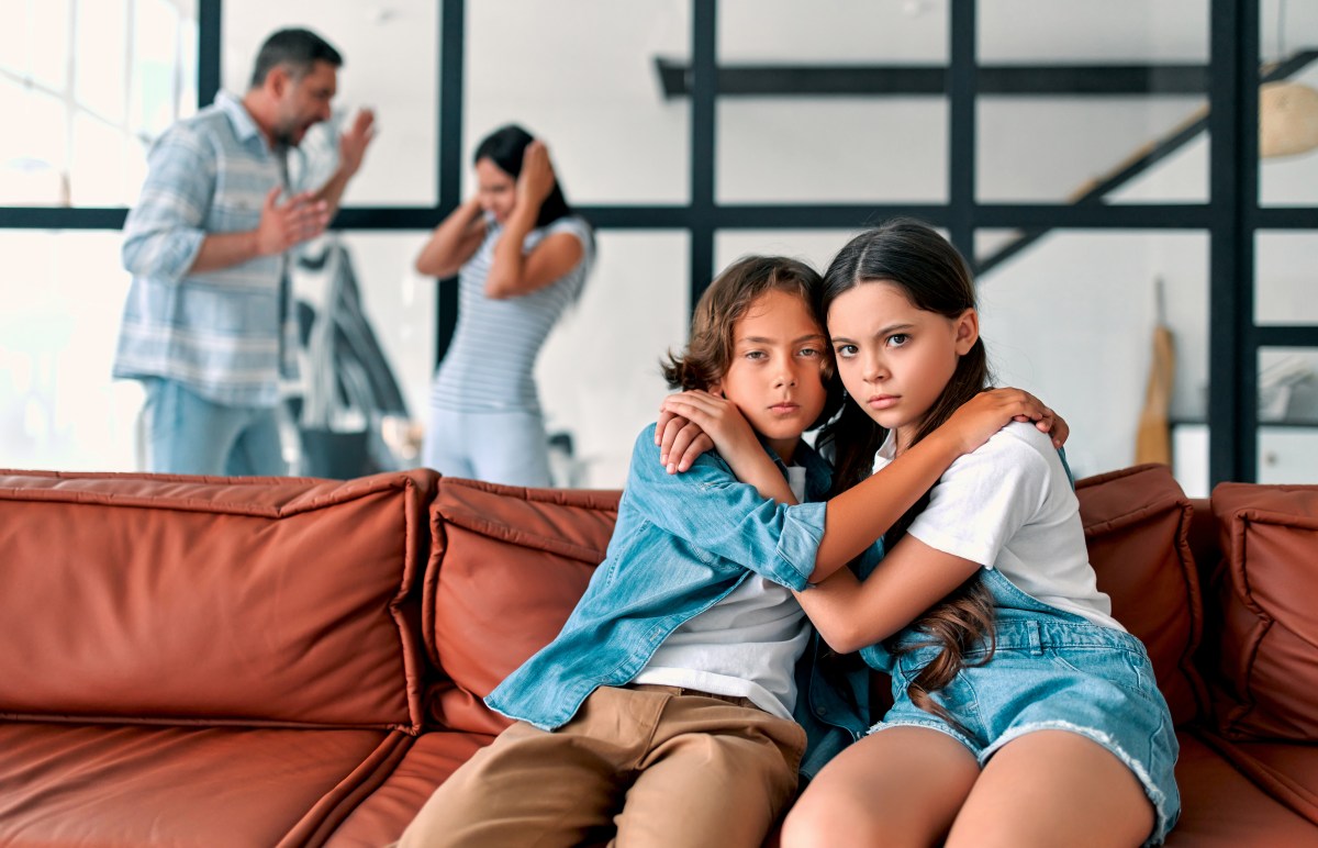 Hermanos separados por divorcio - El Diario NY