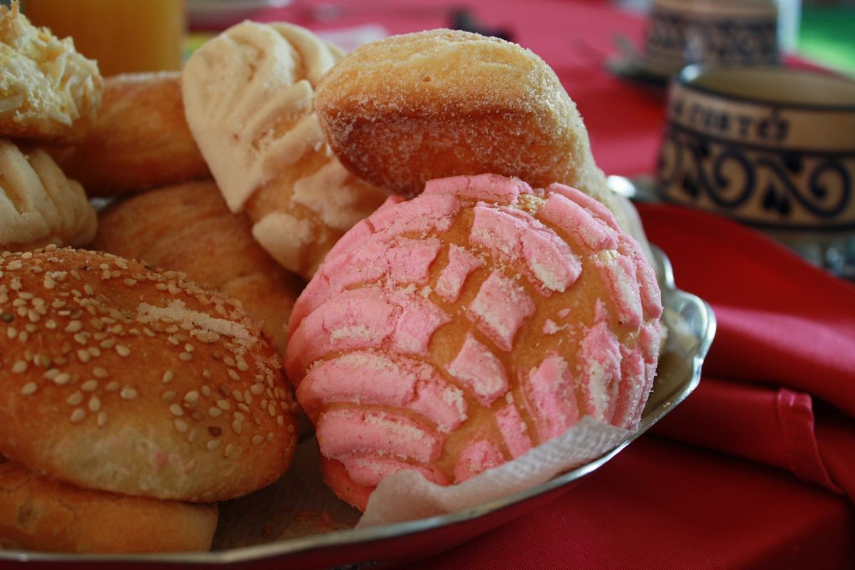¿Amante del pan dulce? Este es el origen de las conchas, el pan ...
