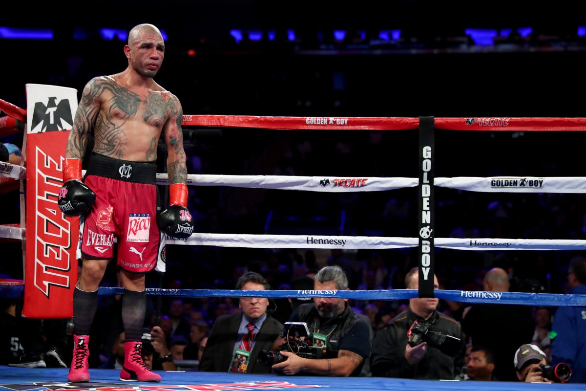 Miguel Cotto saldrá del retiro para pelear contra Juan Manuel Márquez ...