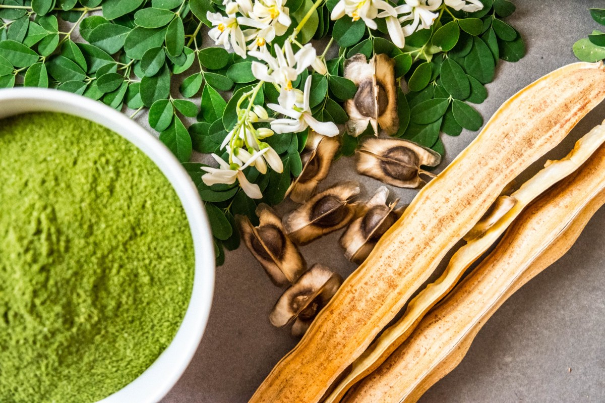 Moringa para prevenir el envejecimiento: estimula la producción de ...