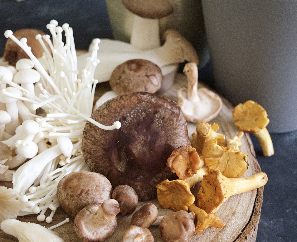 5 hongos comestibles que deben estar en tu plato más seguido y por qué ...