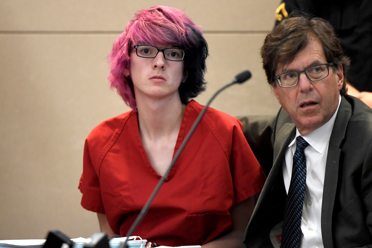 Devon Erickson, el asesino de TikTok, fue sentenciado a cadena perpetua ...