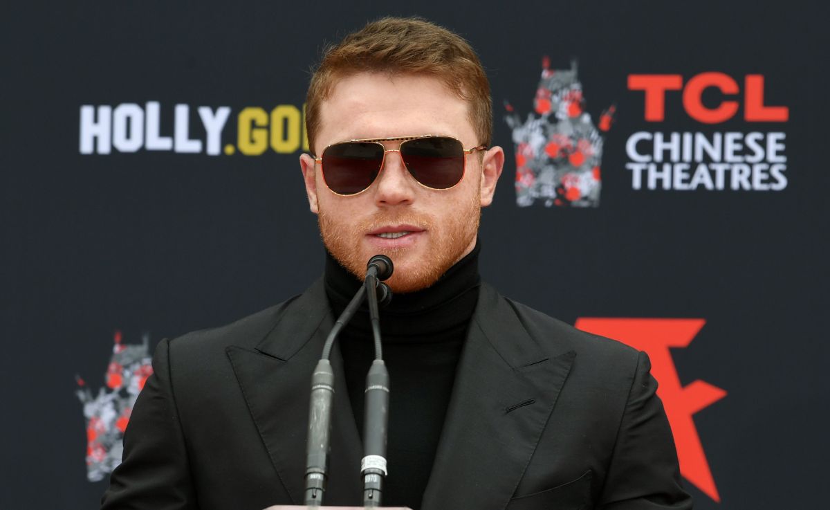 Canelo Álvarez mostró al nuevo integrante de su familia: un gato persa ...