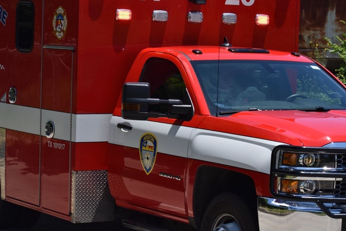 Médico forense revela causa de la muerte de Shaylee Mejía, tras peleas ...