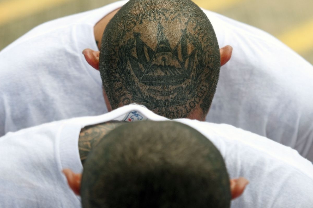 Agentes de la Patrulla Fronteriza de Laredo arrestan a pandillero ...