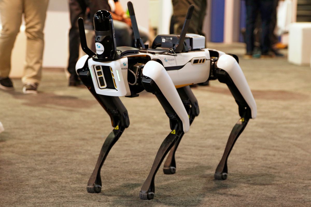 Departamento de Bomberos de Nueva York usará perros robots para salvar ...