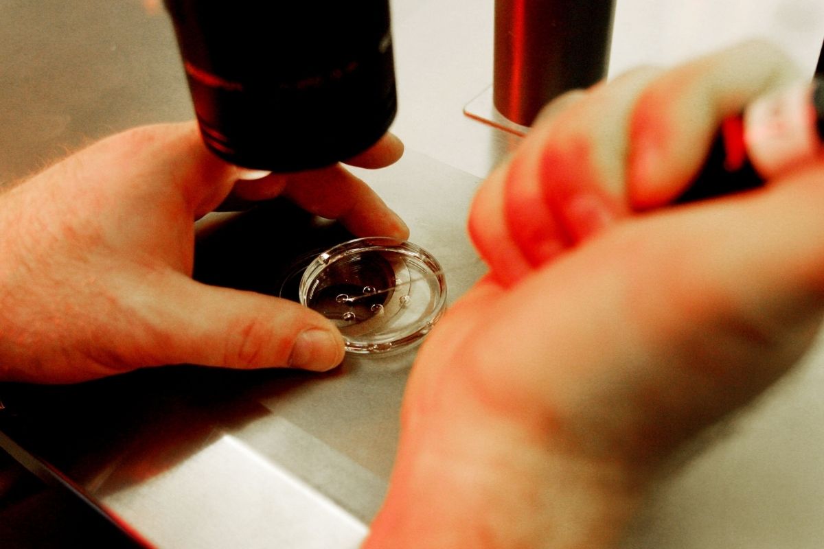 Mujer de Florida recibe $ 5,000,000 después de haber sido inseminada ...