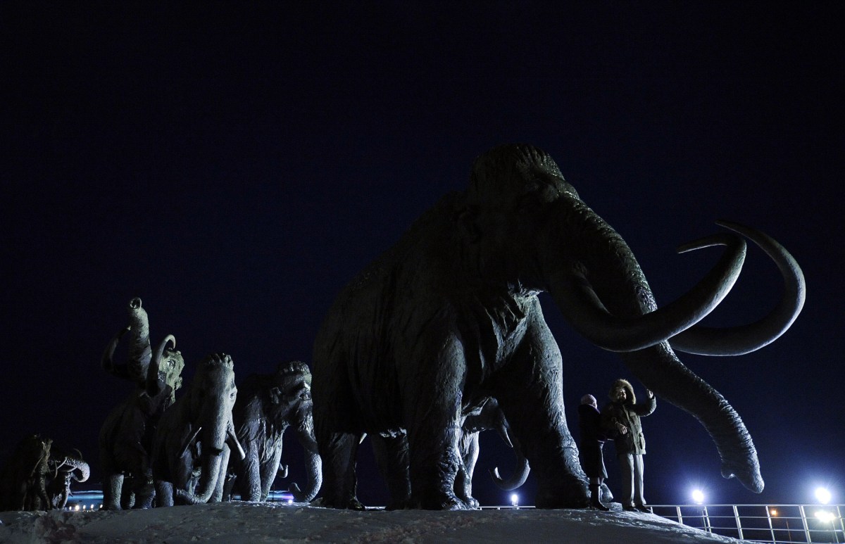 Increíble foto muestra un colmillo de mamut saliendo de la orilla de un ...