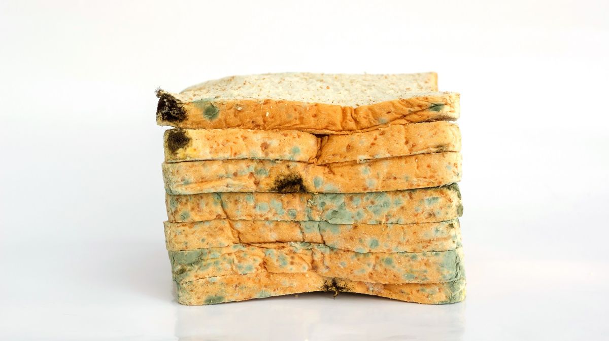 Cómo saber si los alimentos se han echado a perder, más allá de su ...