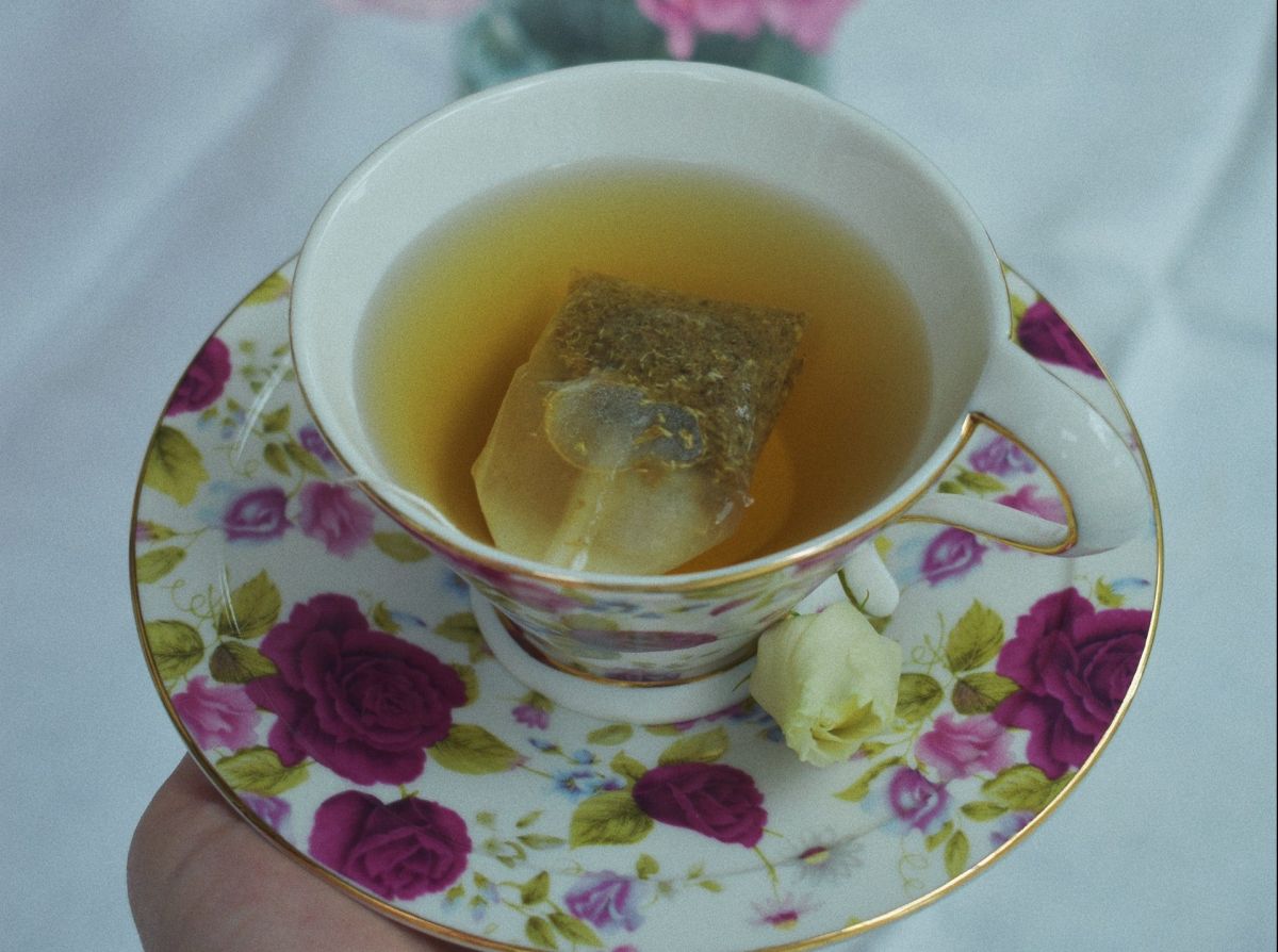 Te sorprenderá la cantidad de insectos que puede haber en una sola ...