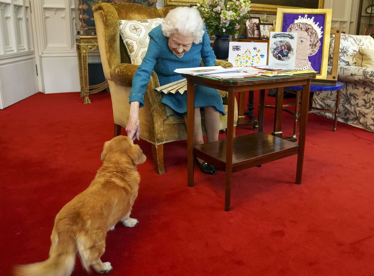 ¿Qué pasará con los queridos perros de la reina Isabel II tras su ...