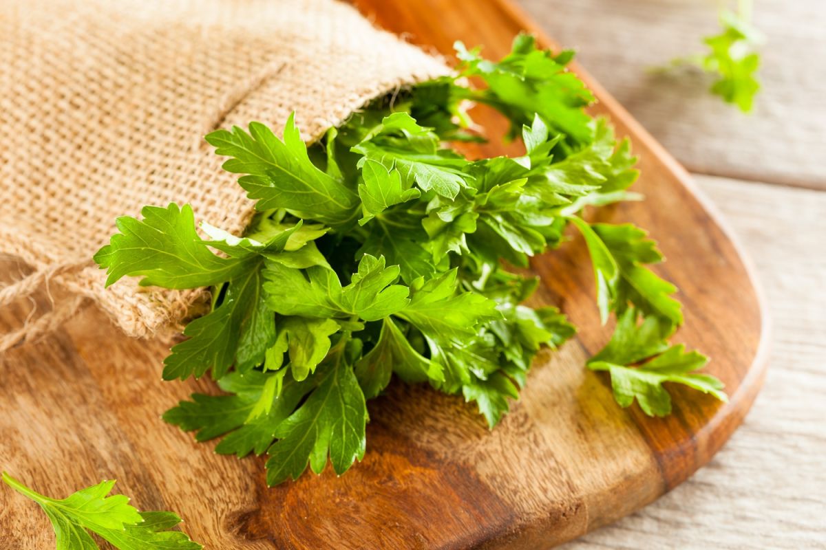 Cómo aprovechar las hierbas frescas marchitas para completar tus platos ...