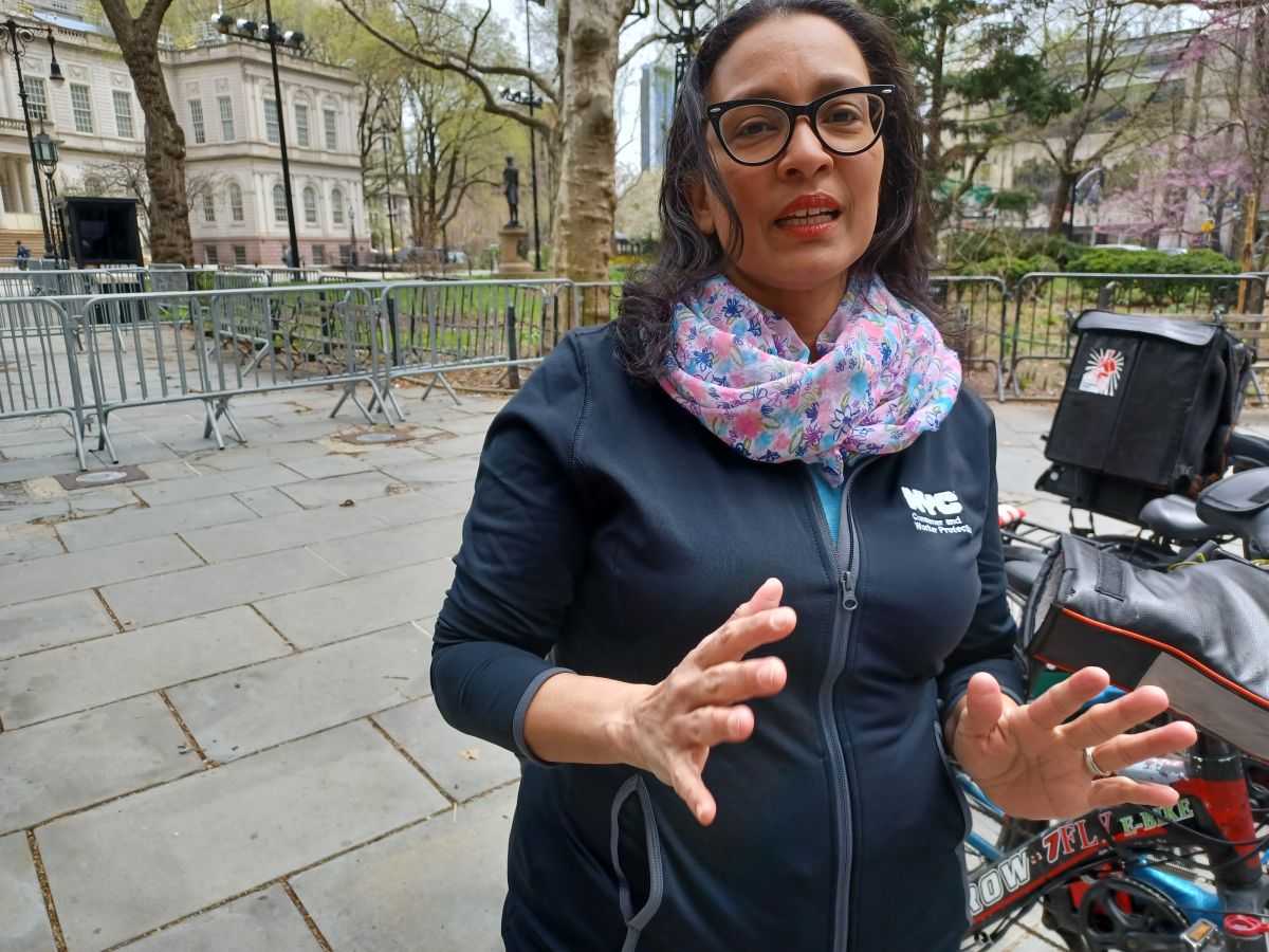 En Nueva York hay vías gratuitas para presentar sus 'taxes' y armas ...