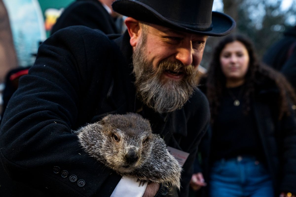 VIDEO: La marmota Phil pronostica seis semanas más de invierno en ...