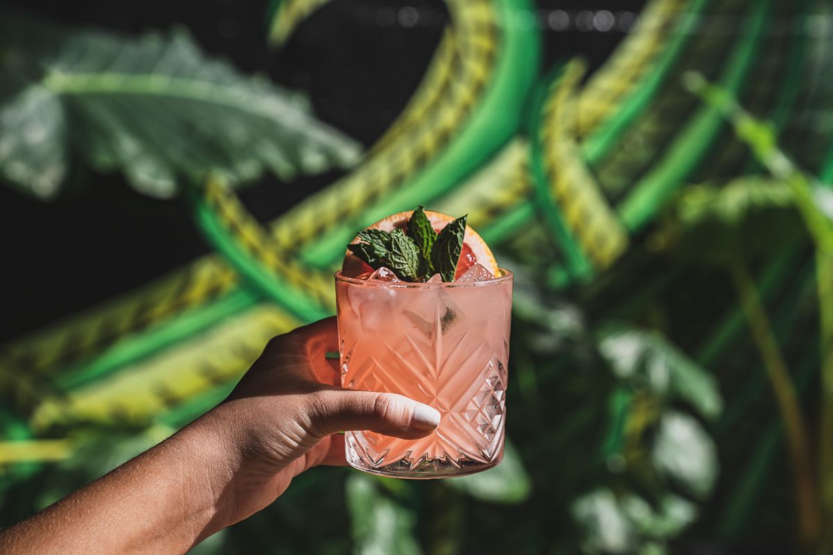 La fiesta se come y se bebe en Mayami - El Diario NY