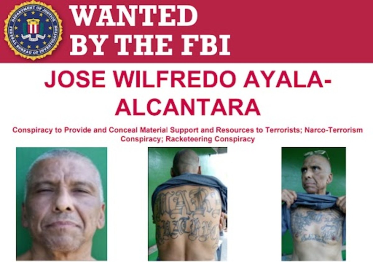 Líder de la MS-13, alias el Indio de Hollywood, fue capturado y será ...