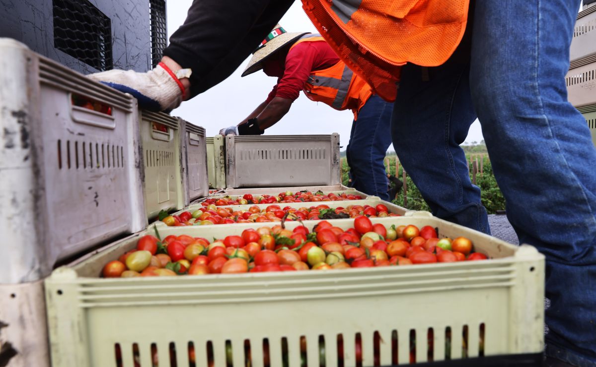 Cómo la ley SB 1718 no sólo afectará a los inmigrantes, sino a muchos ...