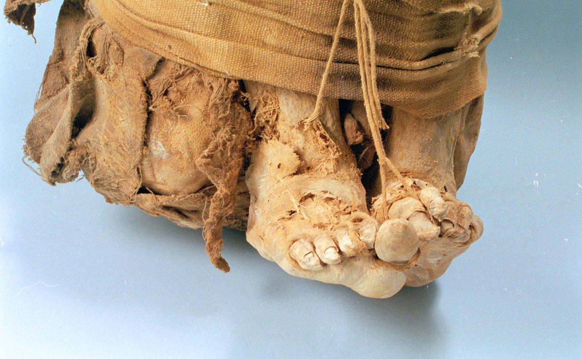 Descubren momia de 3,000 años enterrada con hojas de coca y conchas ...