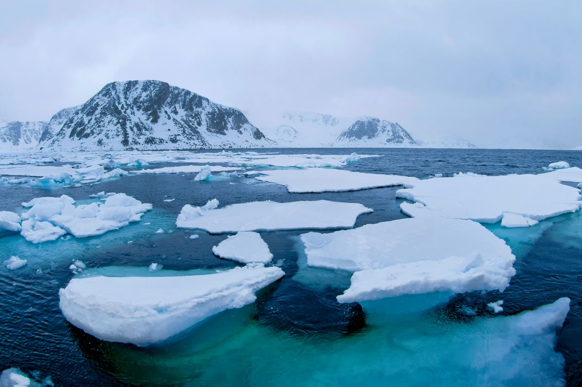 Hielo marino de verano podría desaparecer del Ártico en solo 10 años ...