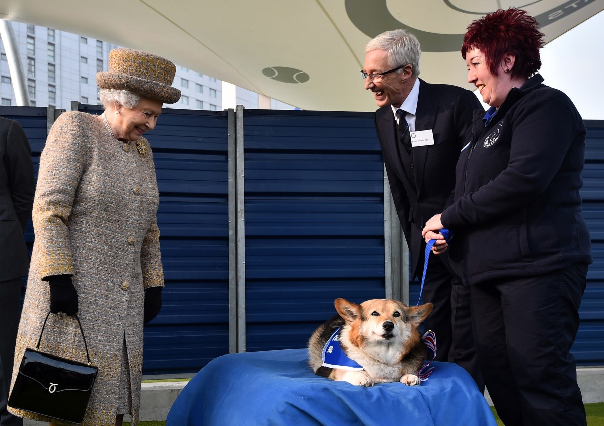 La reina Isabel II será inmortalizada junto a sus mascotas corgis en ...