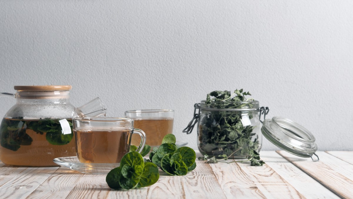 Usos y beneficios de la menta en infusiones - El Diario NY