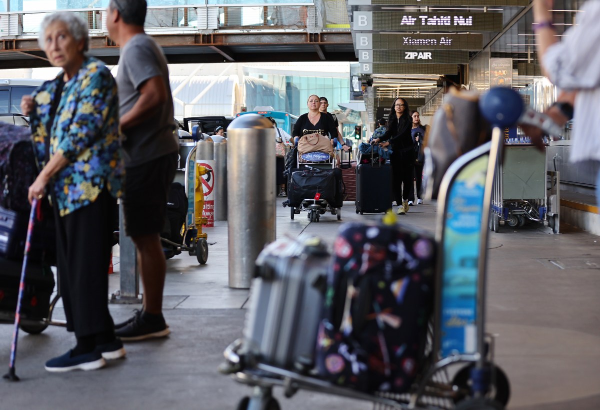 Los días en los que será más barato viajar en avión en 2024 - El Diario NY
