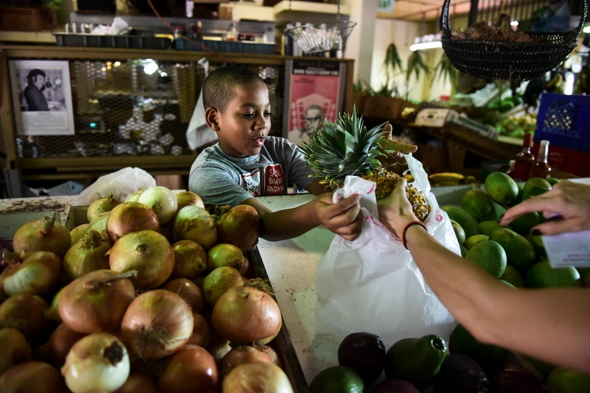 Soberanía alimentaria en Puerto Rico: la más reciente batalla de ...