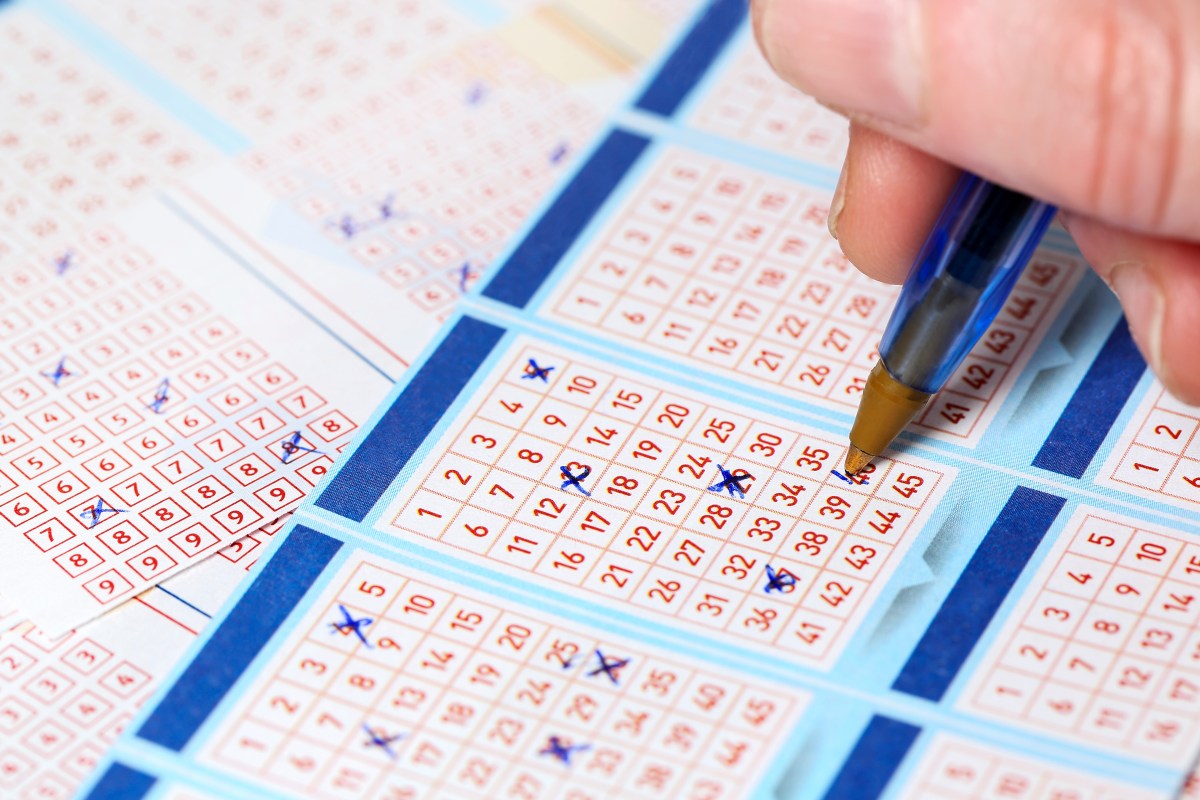 Descubre cuáles son los números ganadores de la lotería en la segunda ...