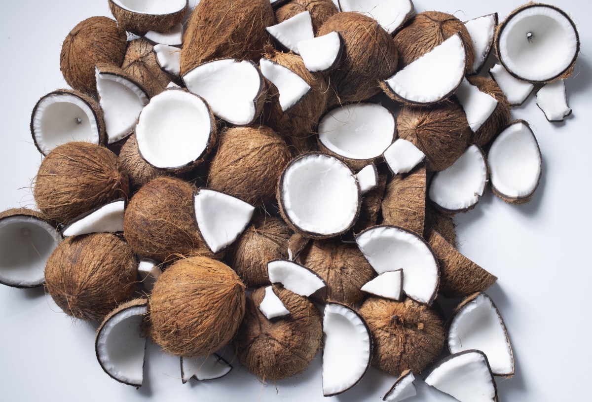 5 datos sobre el coco que te sorprenderán - El Diario NY