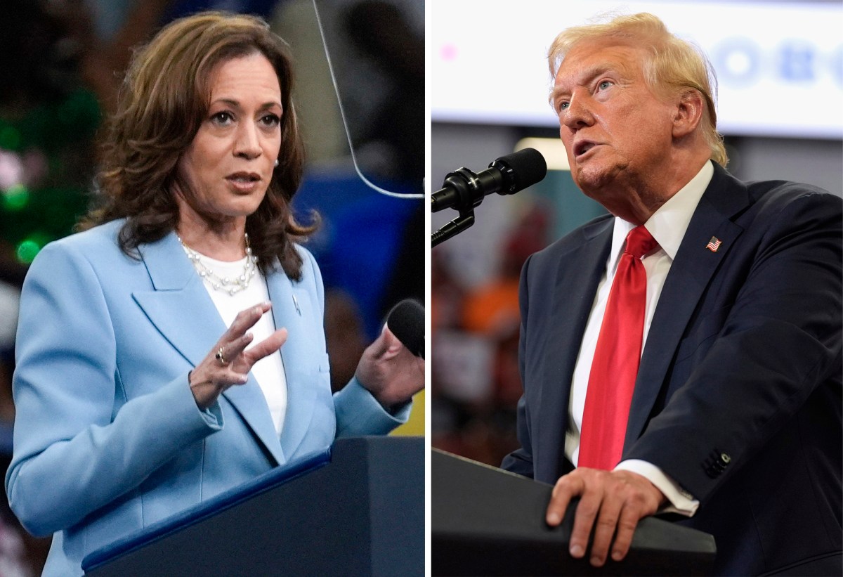 Harris o Trump: ¿qué dicen las encuestas sobre la intención de voto ...