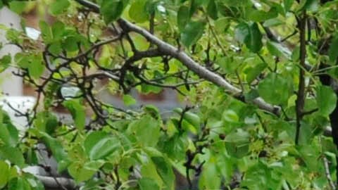 Trabajador de saneamiento cayó y murió arrollado por un camión en ...